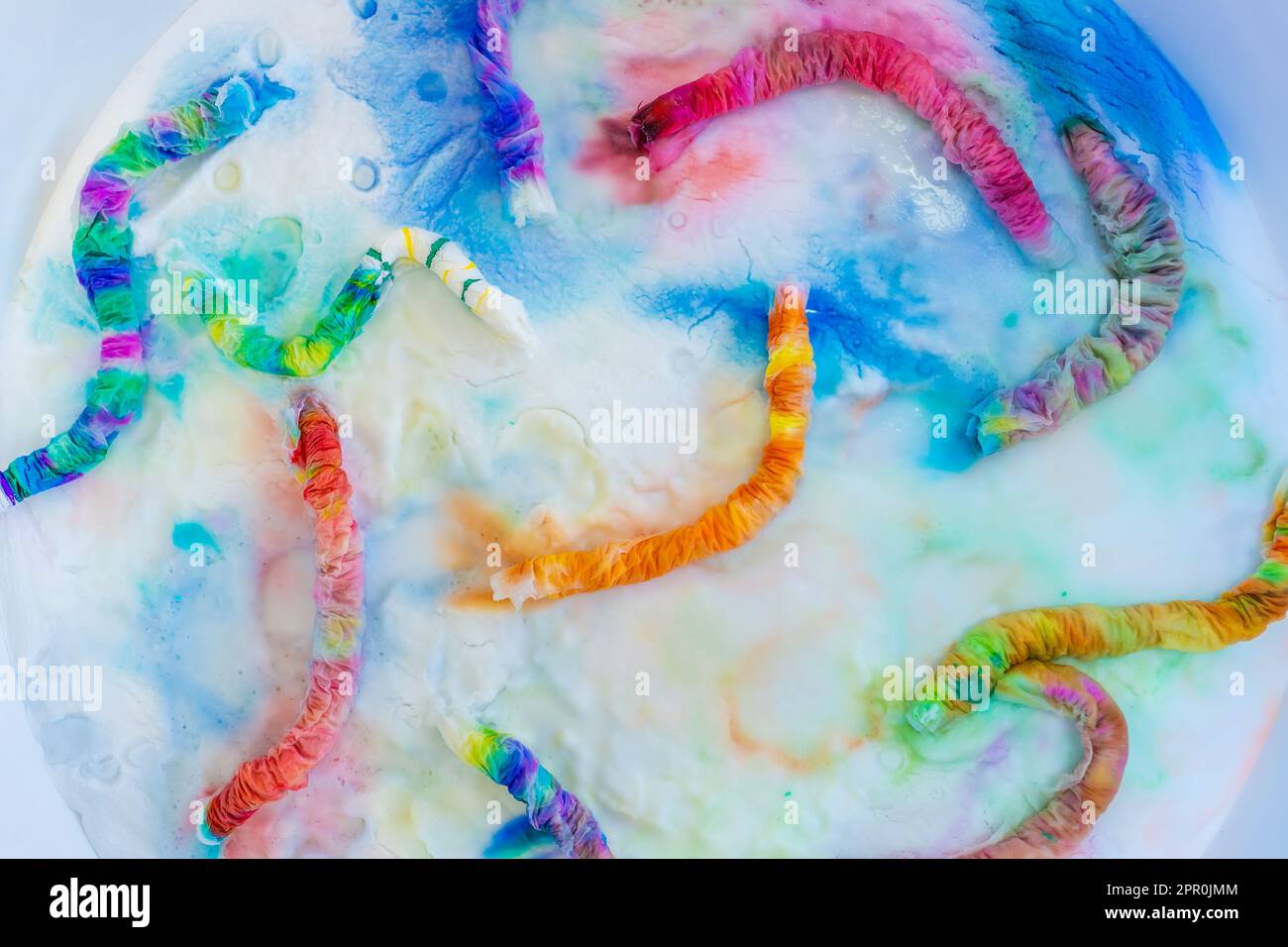 Colorful paper worms. Sensory development and experiences, themed ...