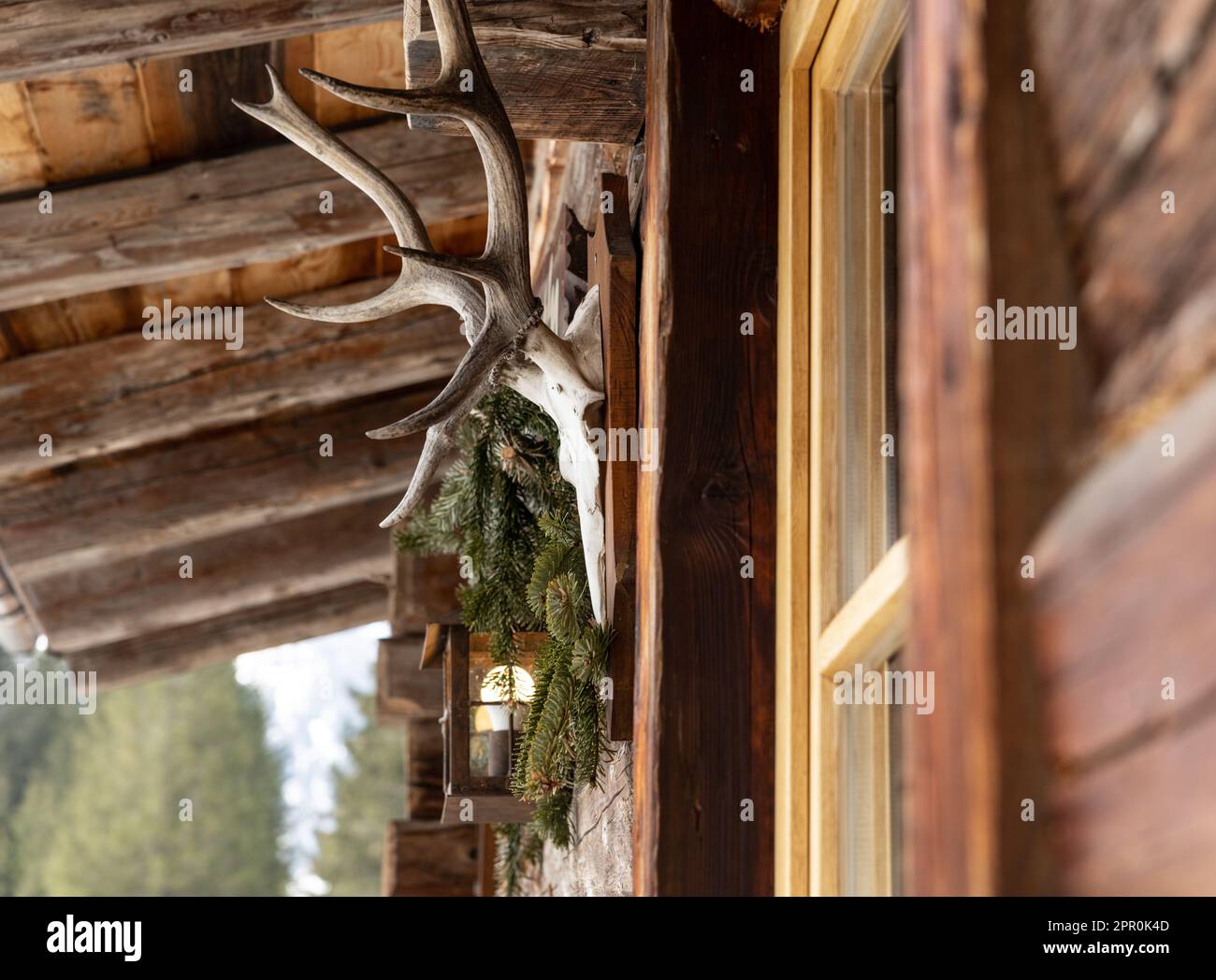 View of the fasade of a rustic hunting lodge decorated with horns of ...