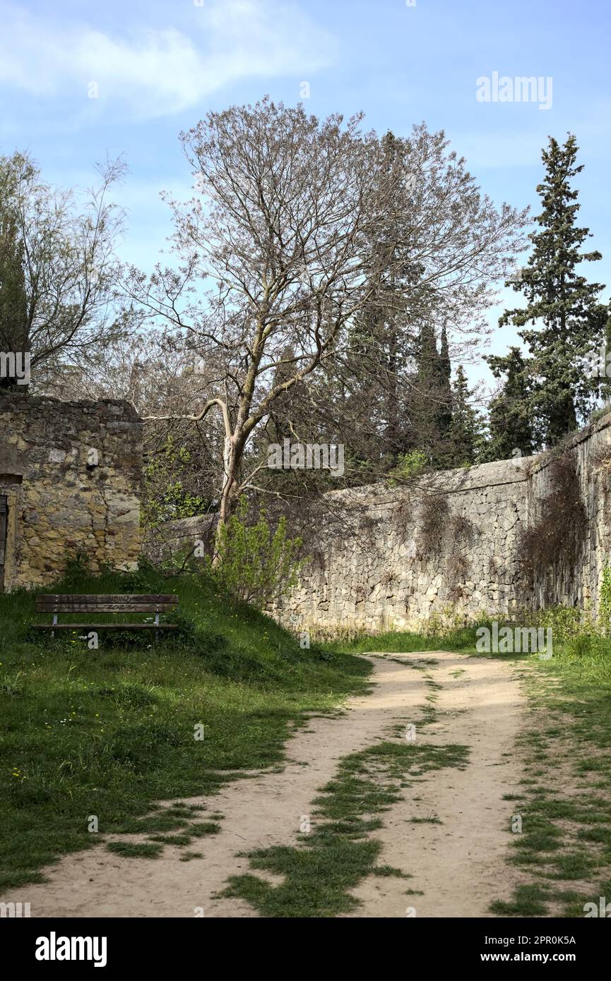 Tree arching on the bend of a dirt path bordered by a boundary wall in ...