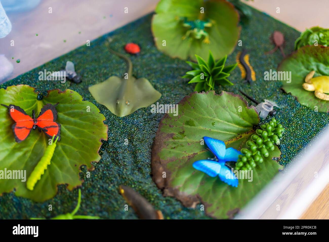 Handmade swamp of green-dyed chia seeds with insect, fish and plant ...