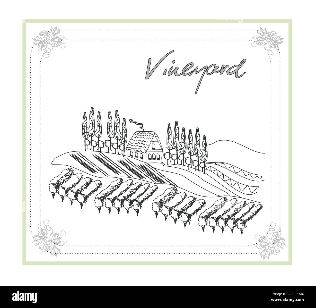 Vector illustration of vineyard Stock Vector Image & Art - Alamy