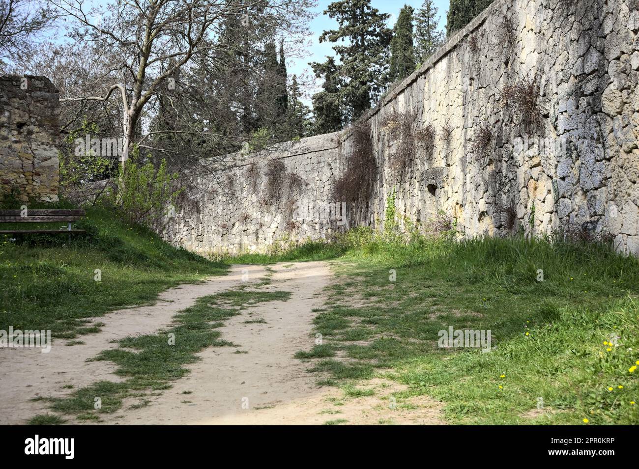 Tree arching on the bend of a dirt path bordered by a boundary wall in ...