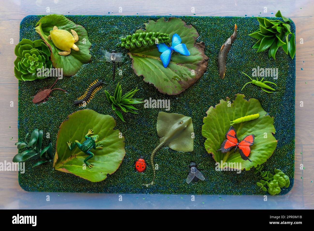 Handmade swamp of green-dyed chia seeds with insect, fish and plant ...