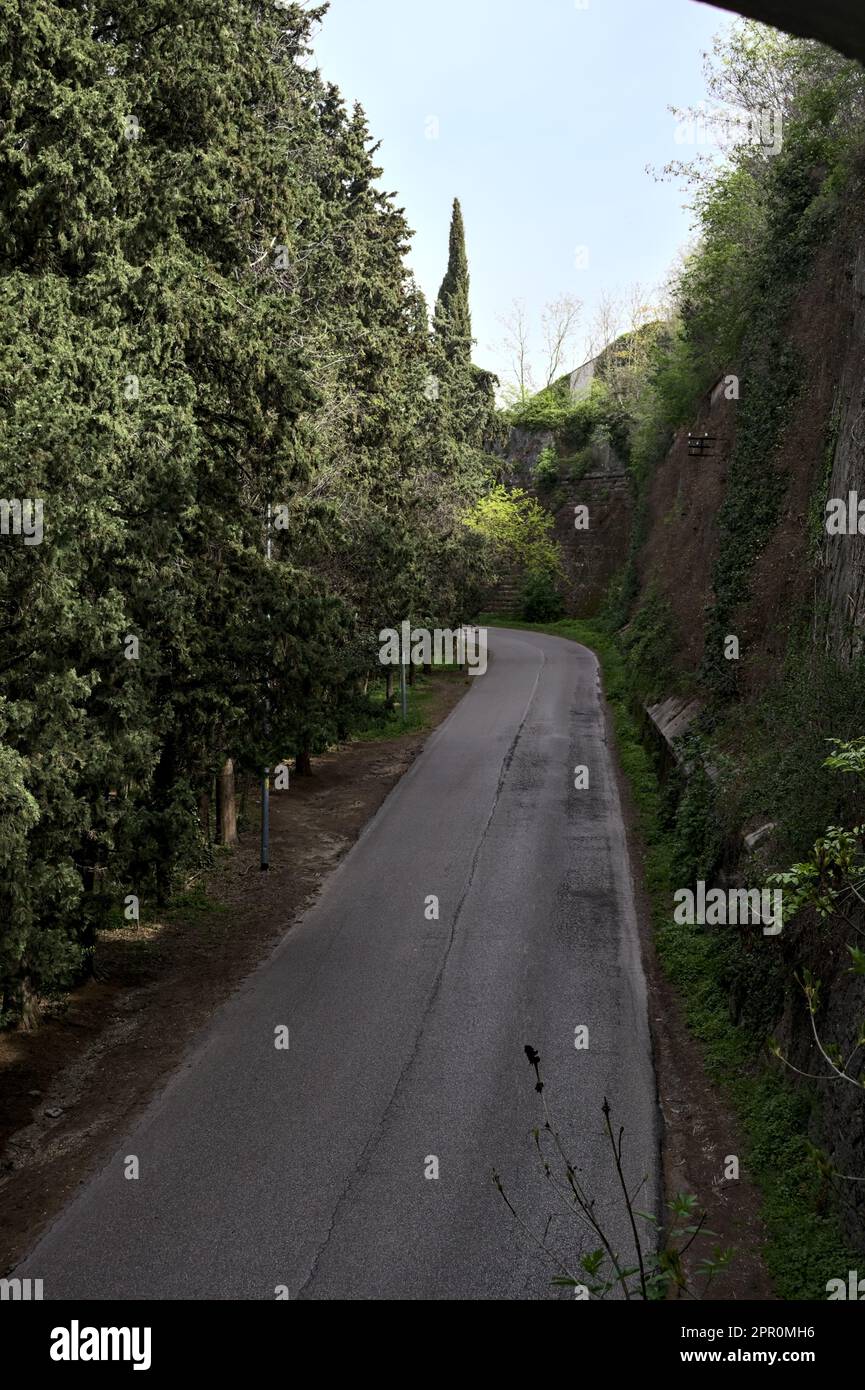 Road on a hill bordered by a stone boundary wall and a grove Stock ...