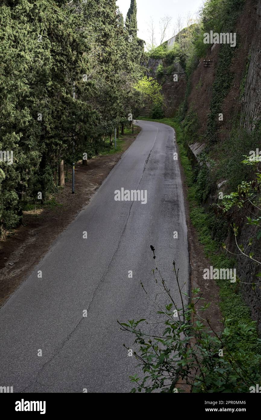Road on a hill bordered by a stone boundary wall and a grove Stock ...