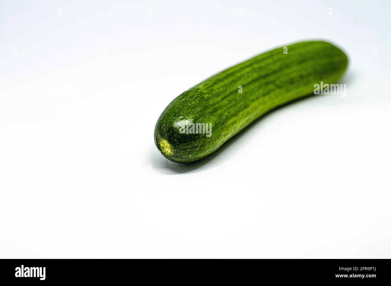 Fresh Whole Cucumber on White Background, Vertical Close-Up Shot Stock ...