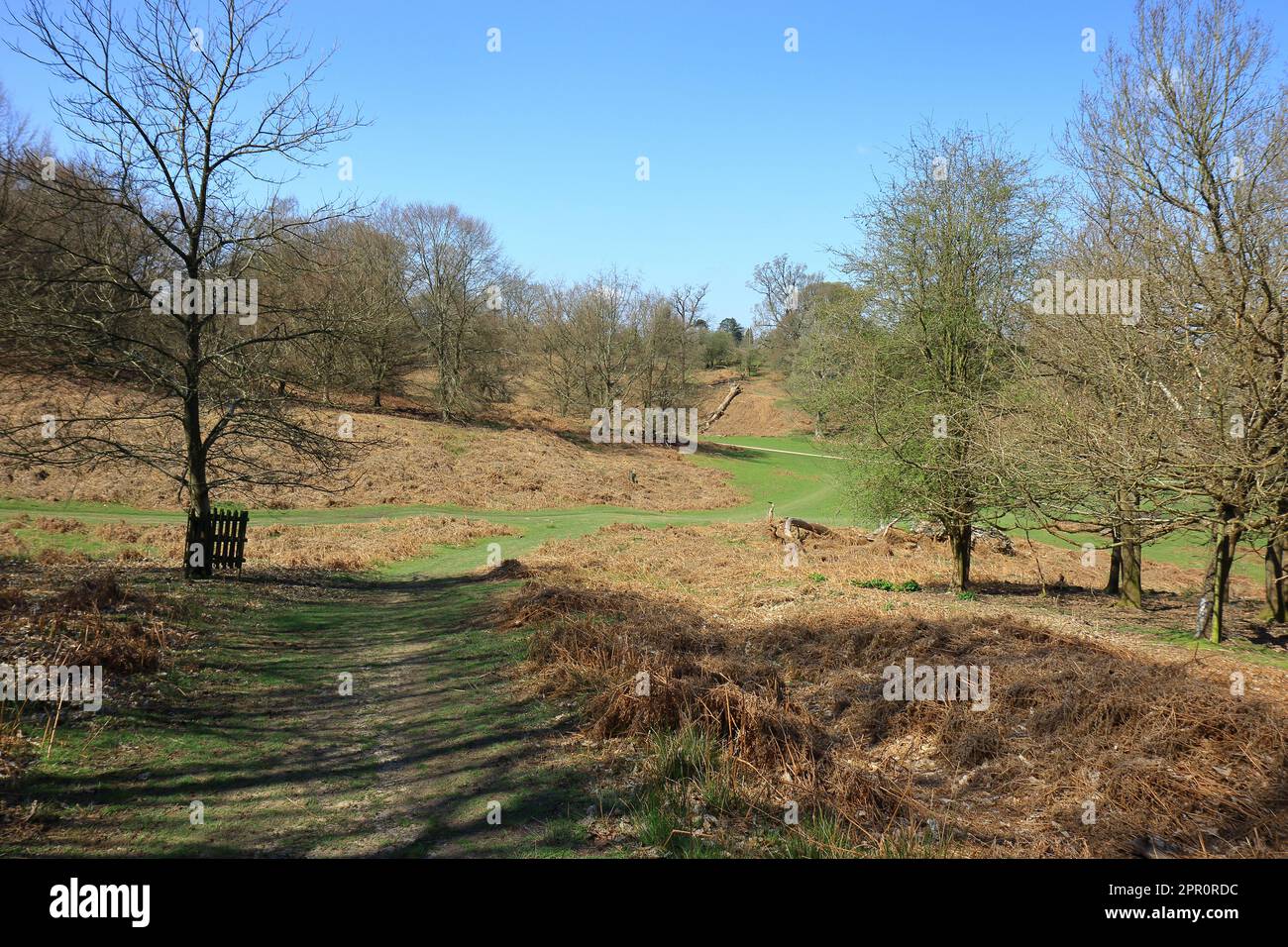 A grassy footpath running through the Sevenoaks countryside Stock Photo ...