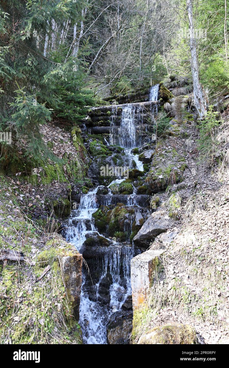 Reflexionen foto hi-res stock photography and images - Alamy