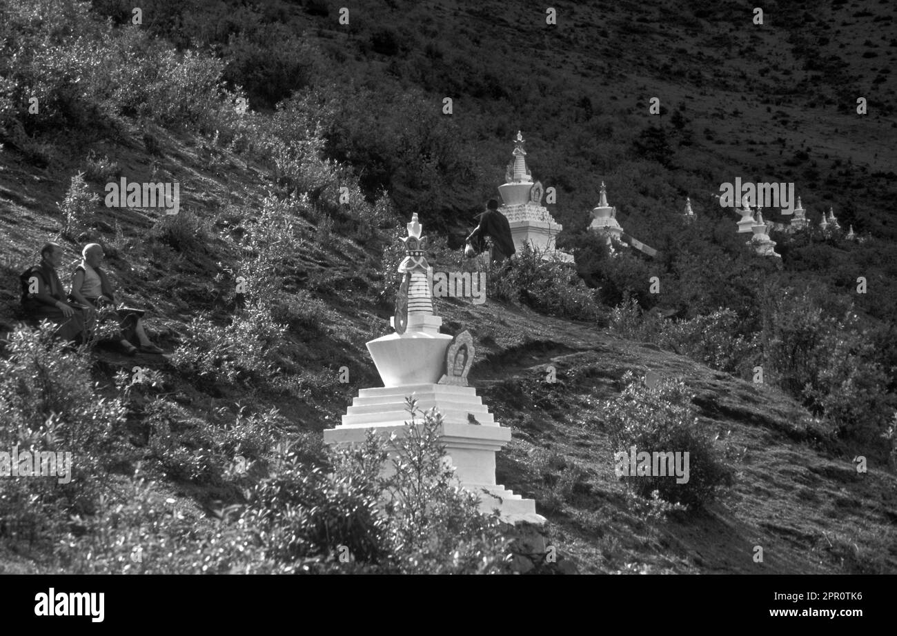 Stupas & monks above the Tibetan Buddhist monastery of Katok Dorjeden ...