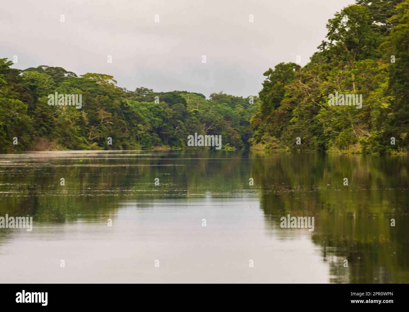The Marañón River (Maranon) in Reservas Nacional Pacaya Samiria ...