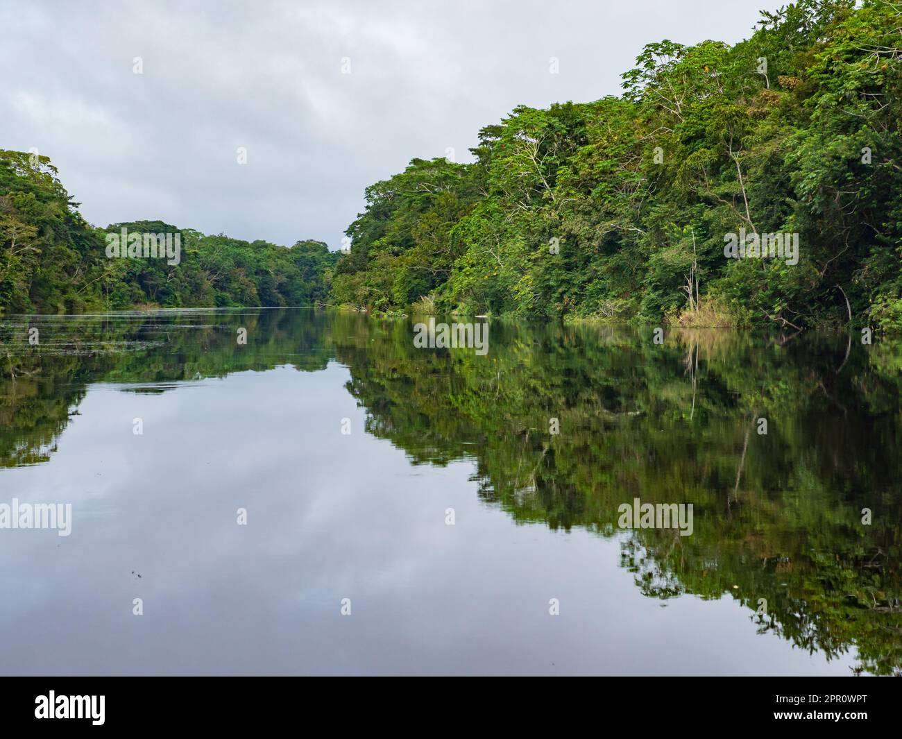 The Marañón River (Maranon) in Reservas Nacional Pacaya Samiria ...