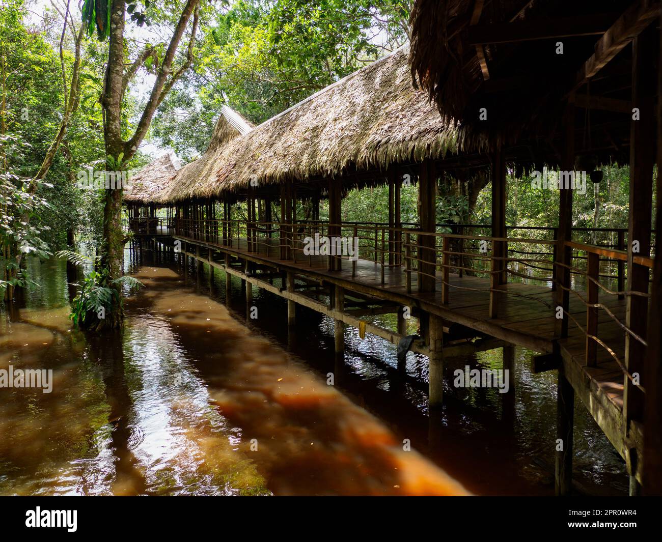 Glamping accommodation in the Amazon rainforest. Wooden treehouse ...