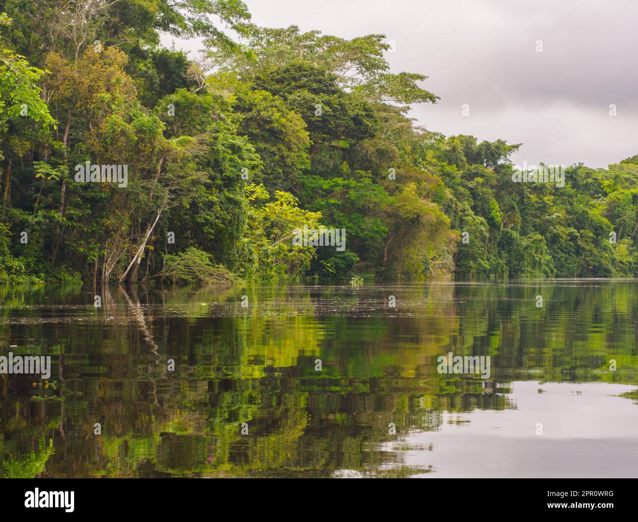 The Marañón River (Maranon) in Reservas Nacional Pacaya Samiria ...