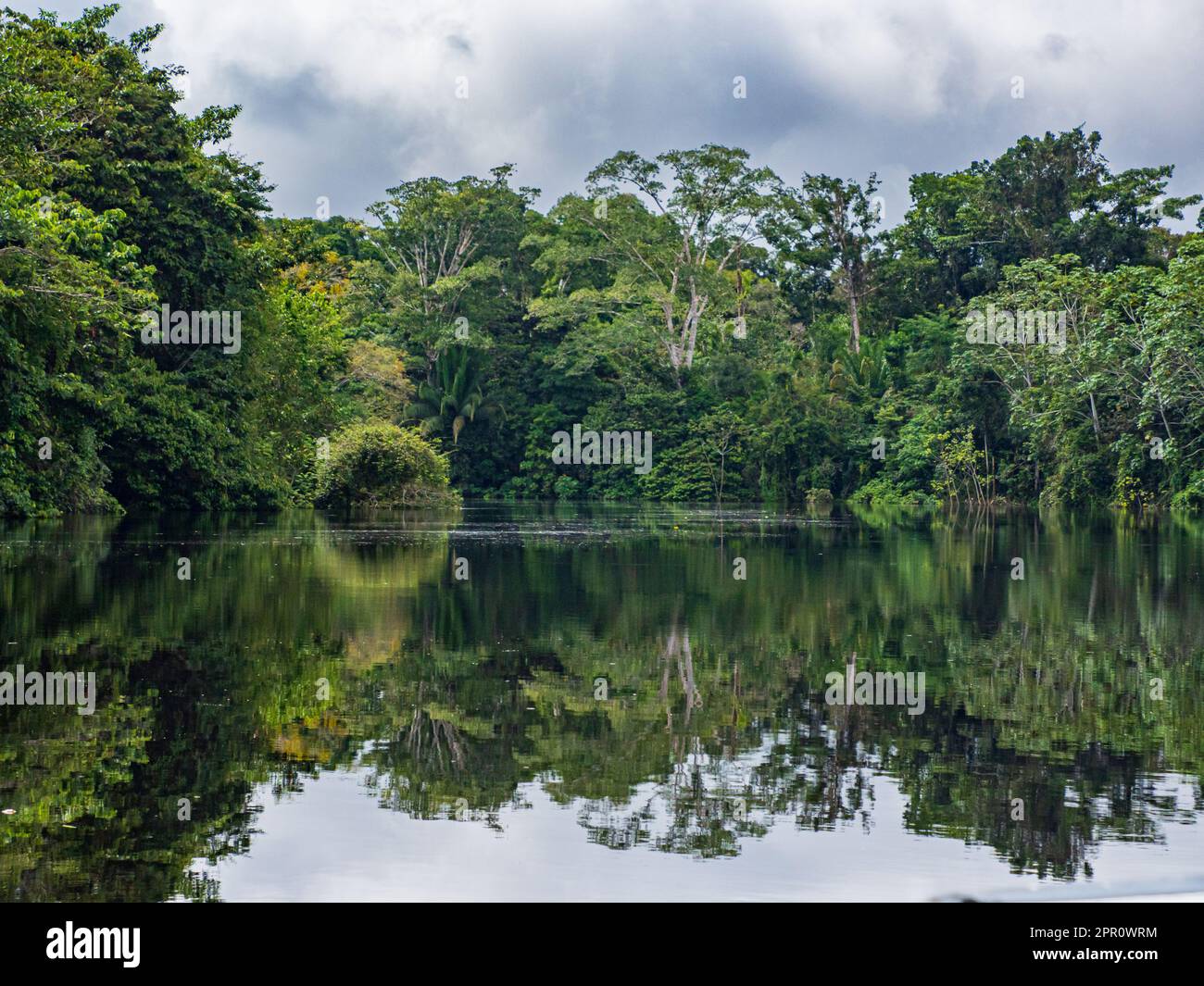 The Marañón River (Maranon) in Reservas Nacional Pacaya Samiria ...