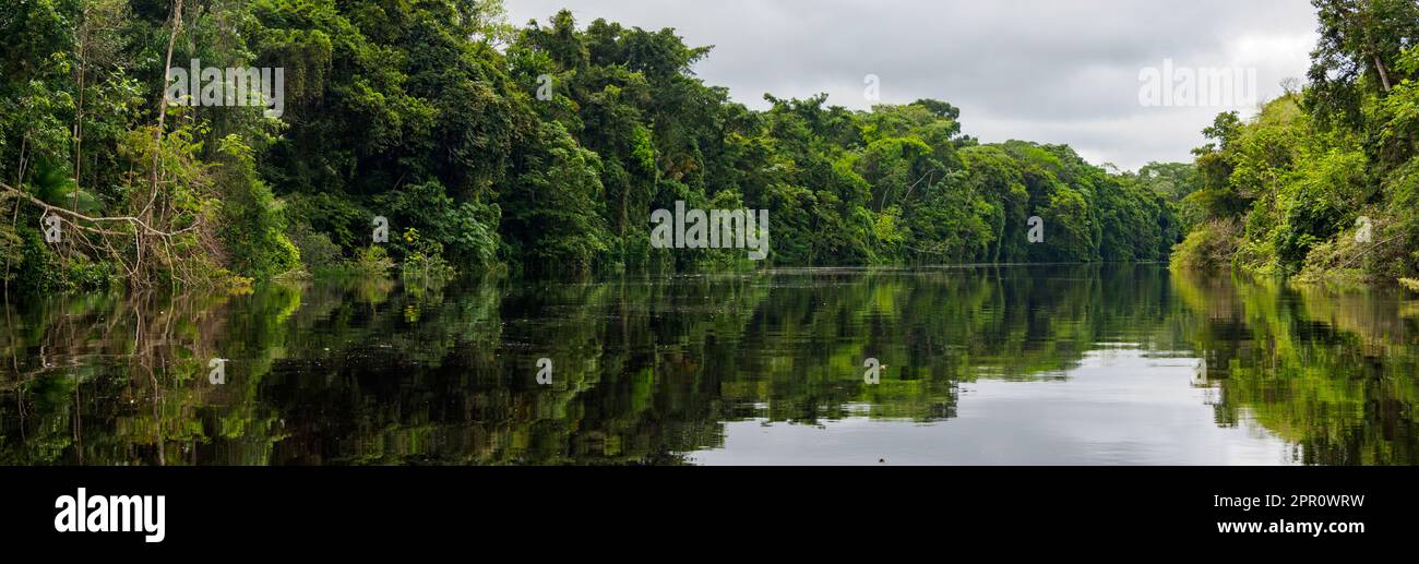 The Marañón River (Maranon) in Reservas Nacional Pacaya Samiria ...