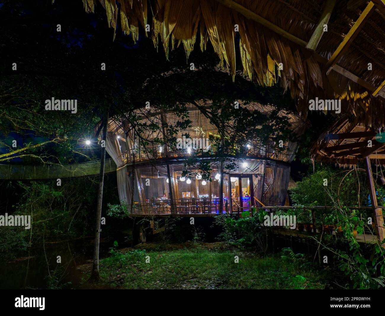 Glamping accommodation in the Amazon rainforest. Wooden treehouse ...