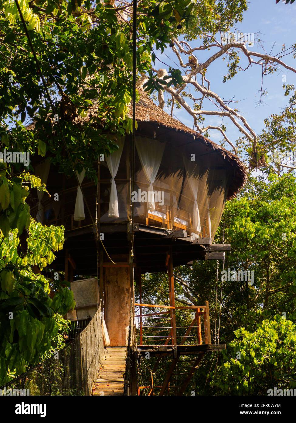 Glamping accommodation in the Amazon rainforest. Wooden treehouse ...