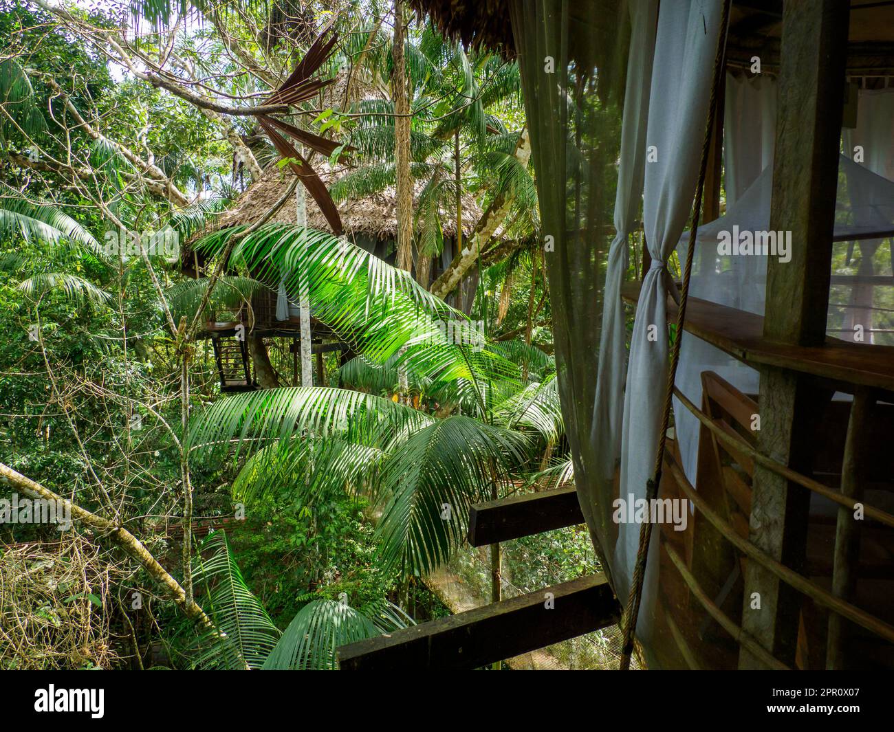 Glamping accommodation in the Amazon rainforest. Wooden treehouse ...