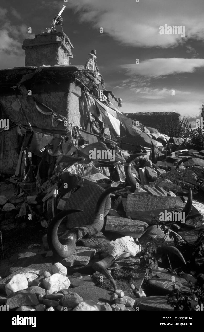 STUPAS with PRAYER FLAGS & MANI STONES at the KAGYU SECT SERALUNG ...