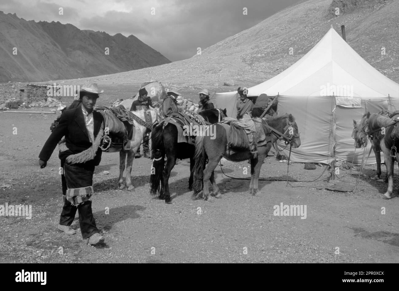 TIBETAN HORSES & PEOPLE at a TEA SHOP around MOUNT KAILASH (6638 Meters ...