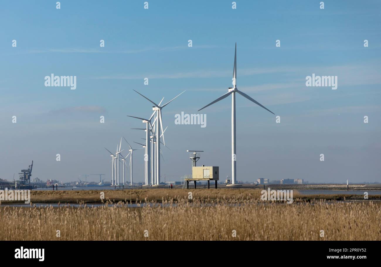Wind turbines generate electricity near Delfzijl, The Netherlands Stock ...