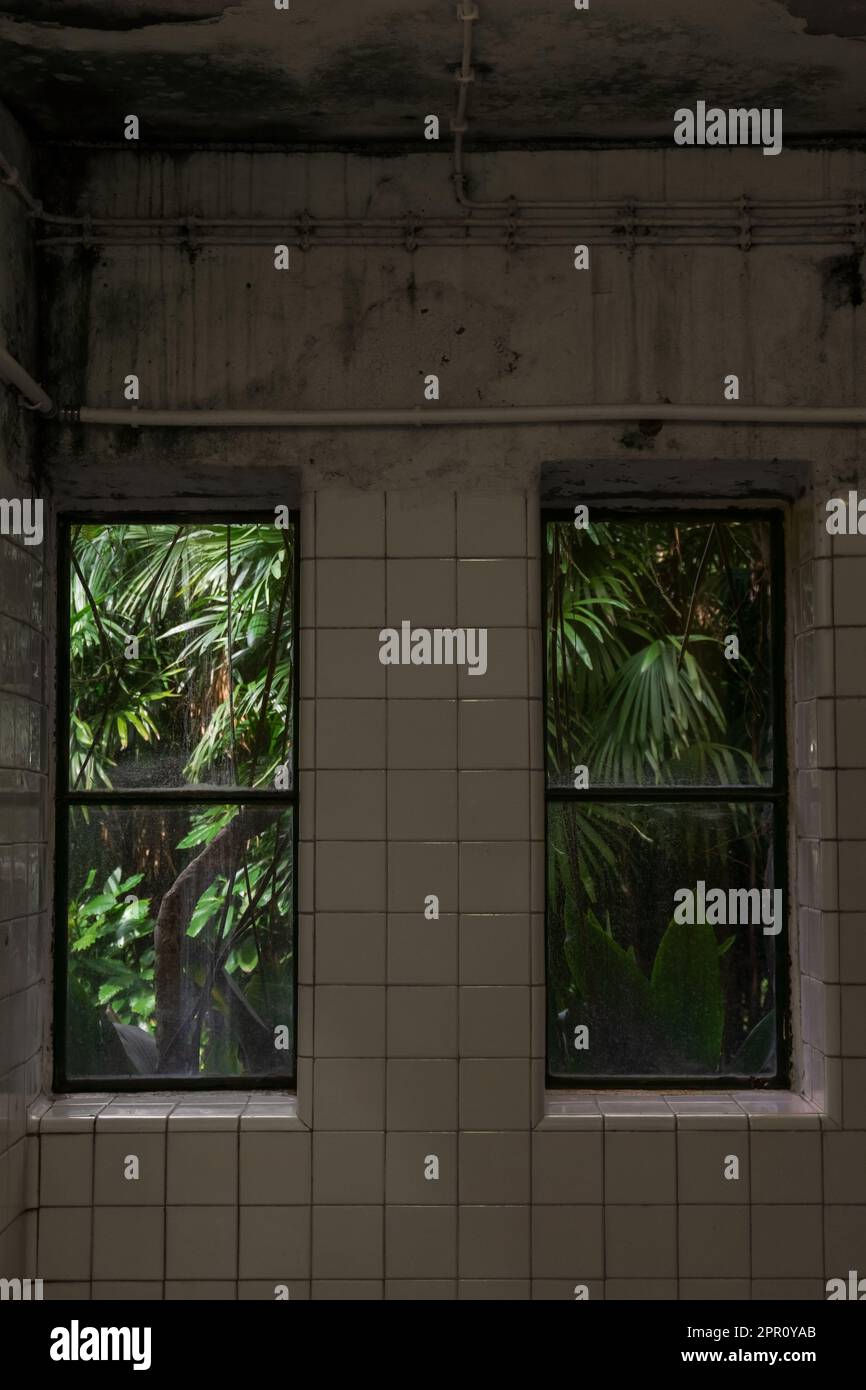 View from black and white room to the green jungle outside the windows Stock Photo - Alamy