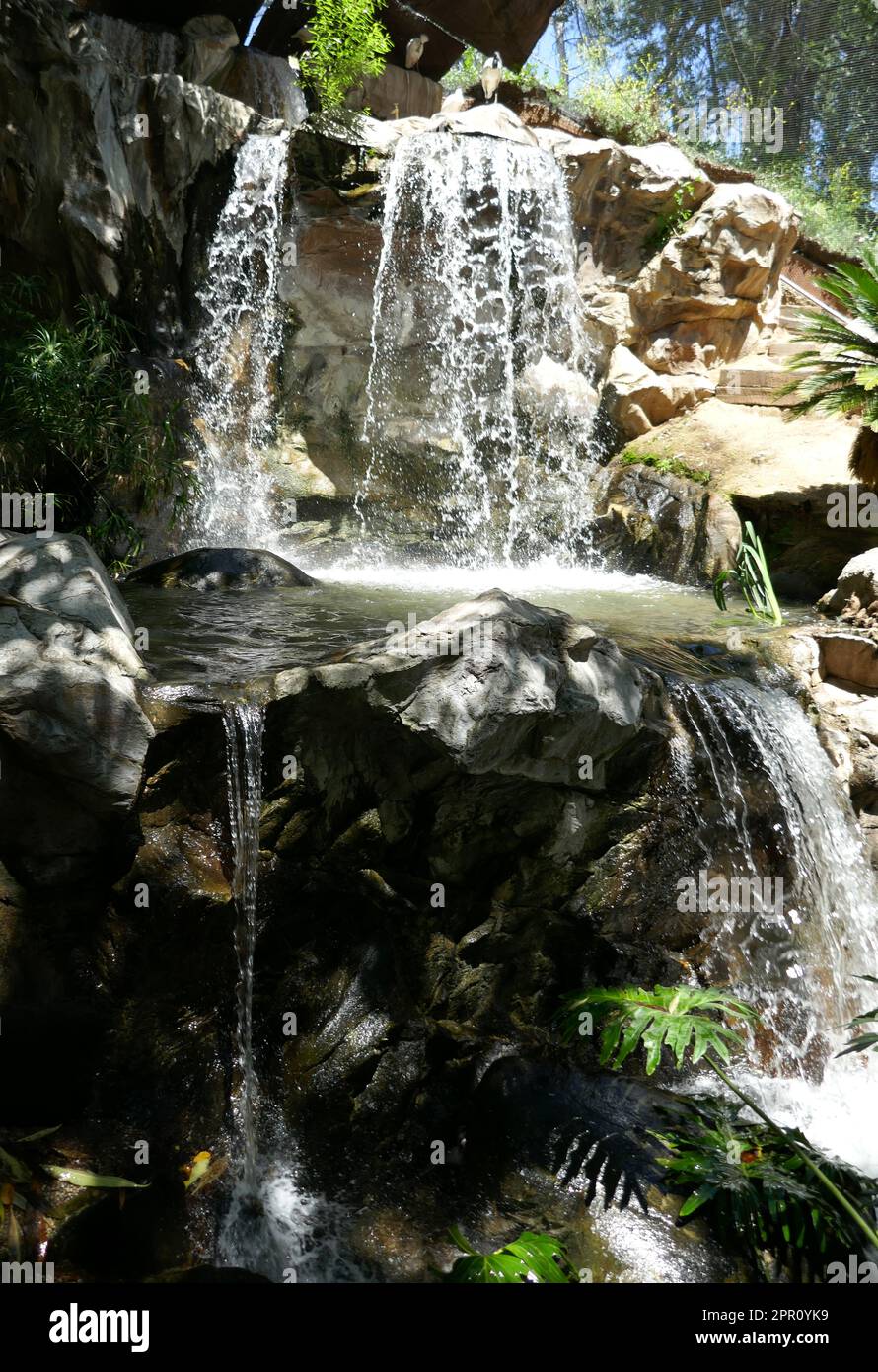 Los Angeles, California, USA 21st April 2023 Waterfall in Aviary at LA ...