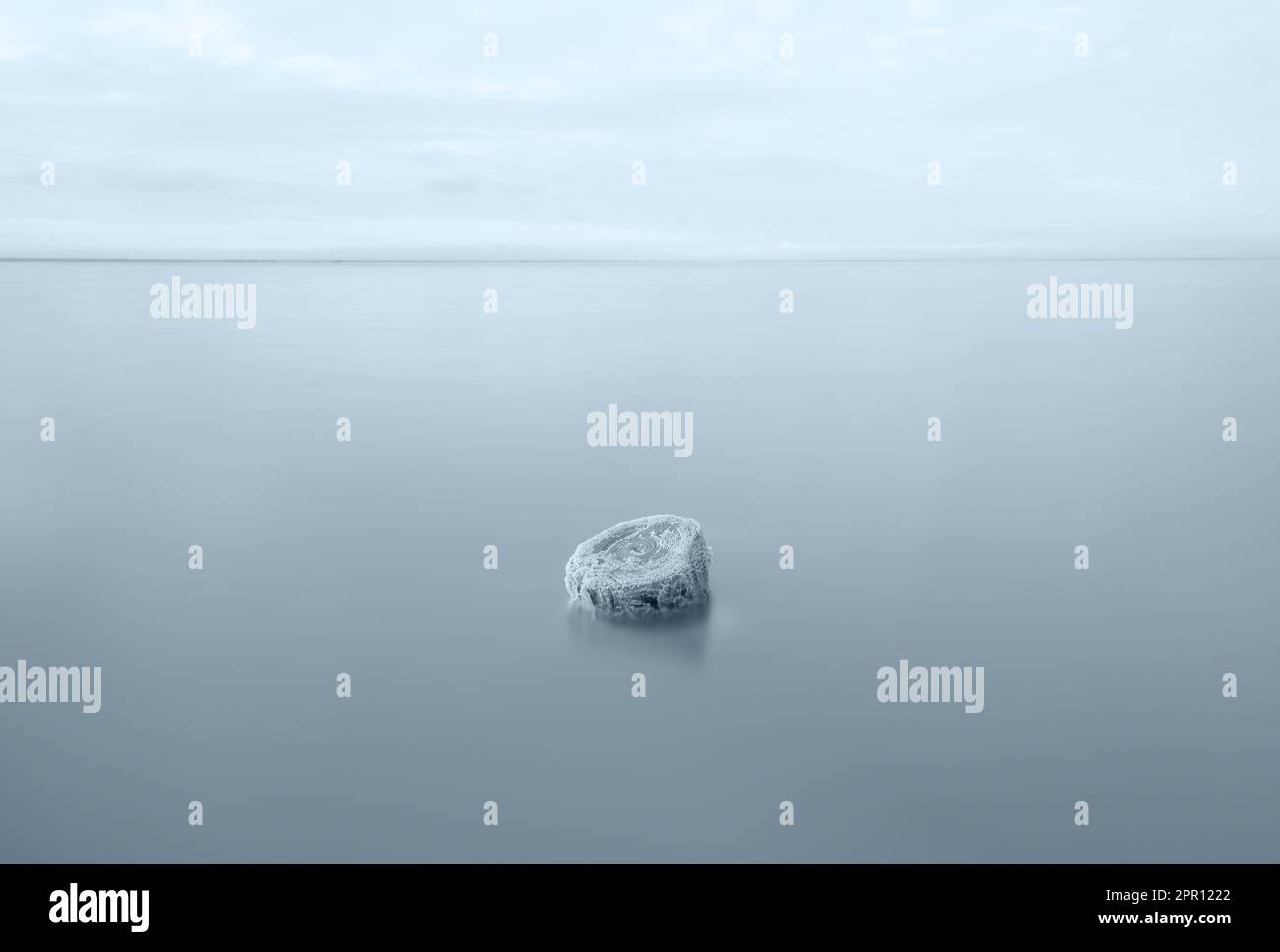 A wooden pillar covered with salt crystals sticks out above the surface ...