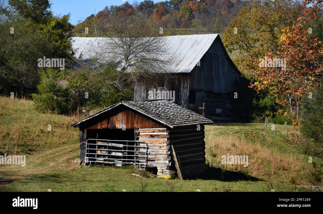 Small log cabin sits in front of a large weathered barn. Cabin is used ...