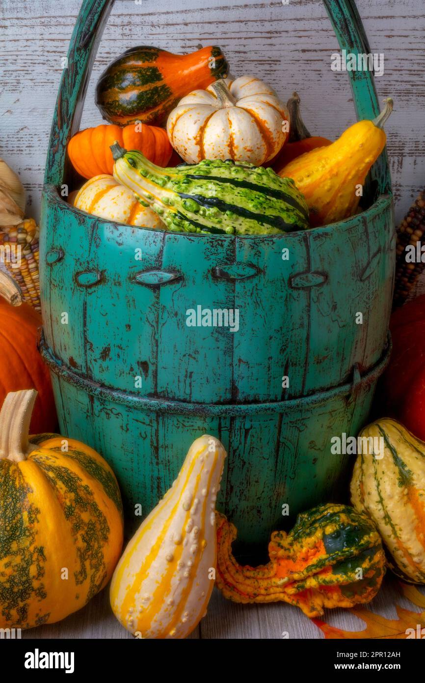 Pumpkin buckets hi-res stock photography and images - Alamy