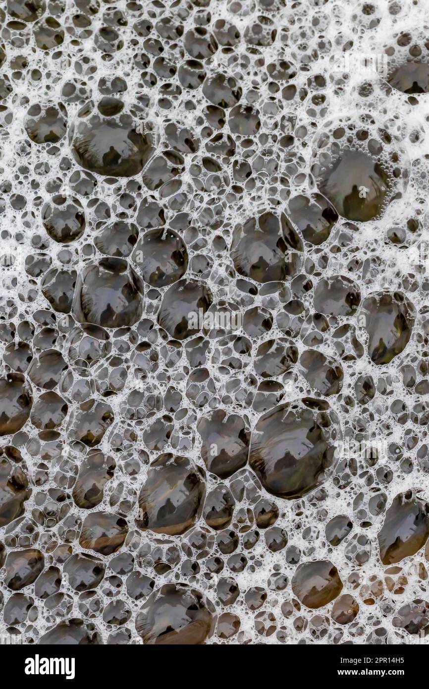 Michigan seasons hi-res stock photography and images - Alamy