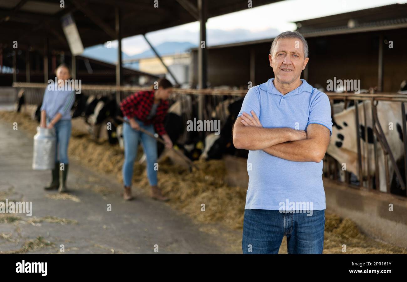 Portrait of mature male farmer posing in cowshed at dairy farm on ...