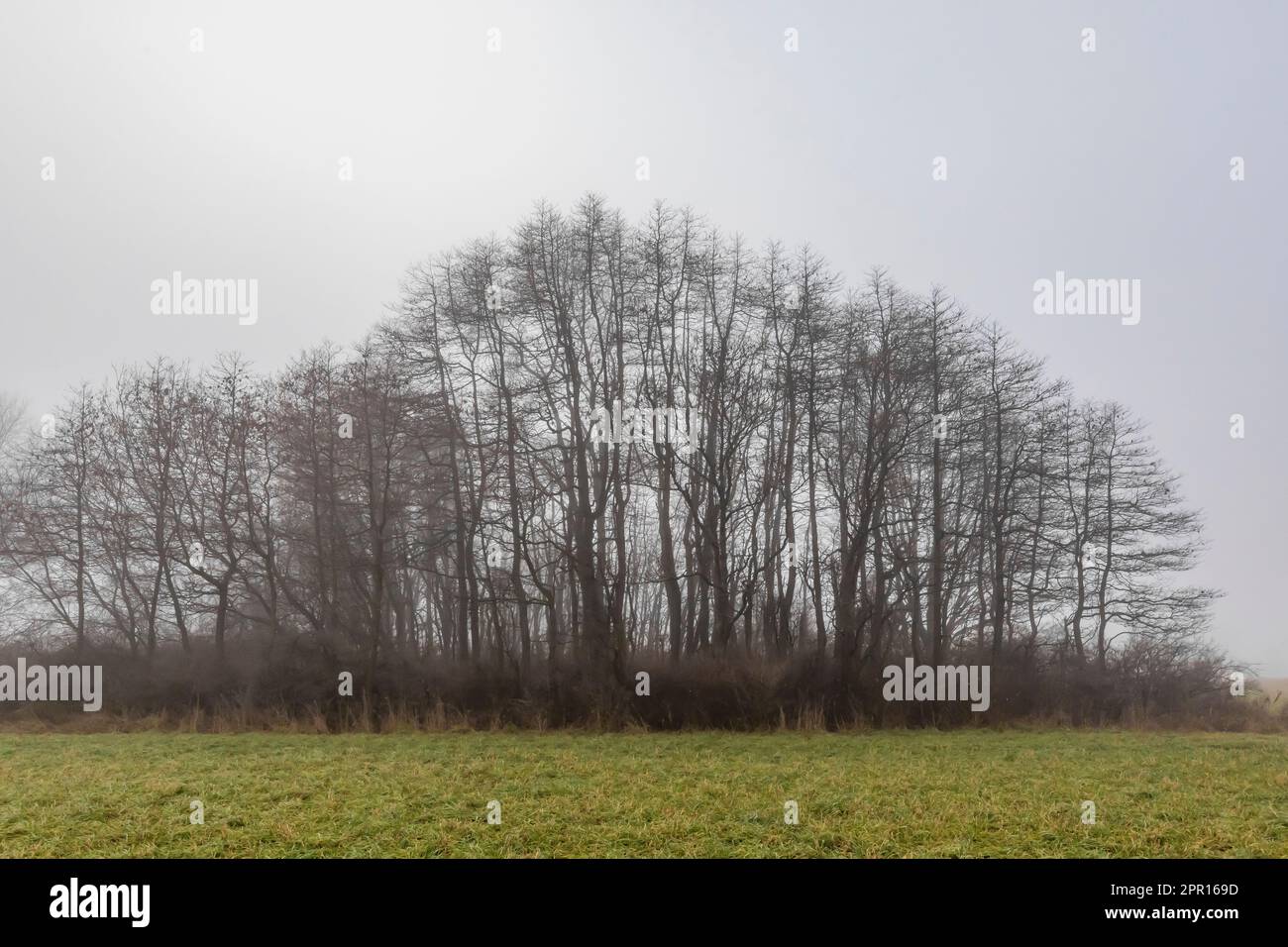 Michigan seasons hi-res stock photography and images - Alamy