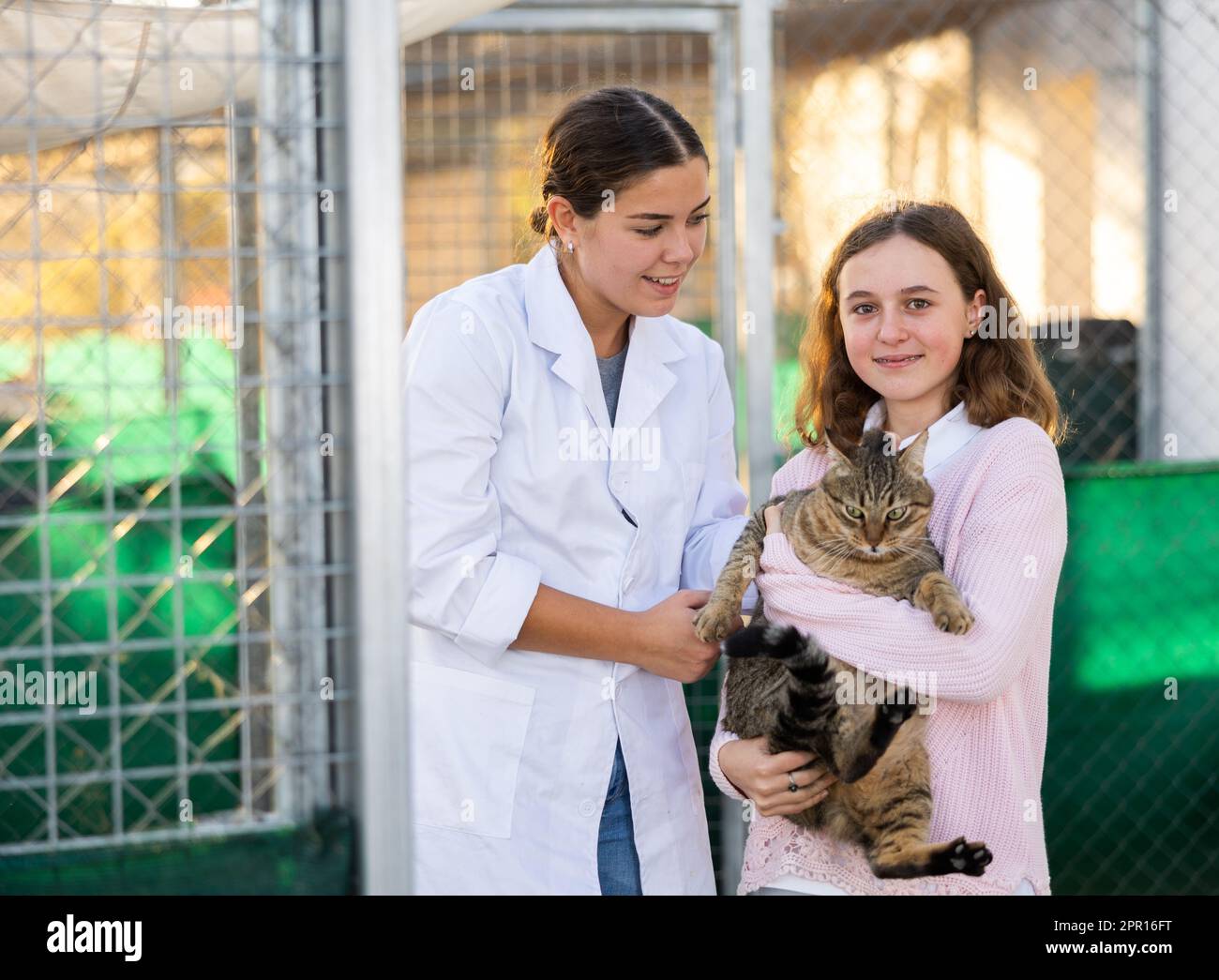 Preteen girl helping in animal shelter, standing outdoors with gray cat ...