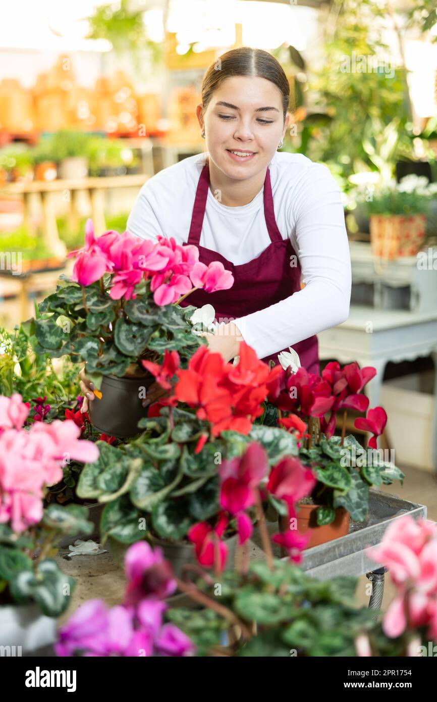 Woman flower vendor arranging bouquet hi-res stock photography and ...