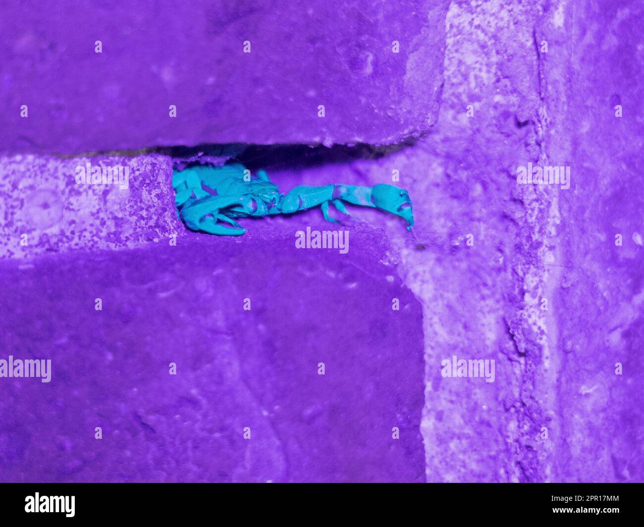 Sheerness, Kent, UK. 25th Apr, 2023. The Blue Town district of ...