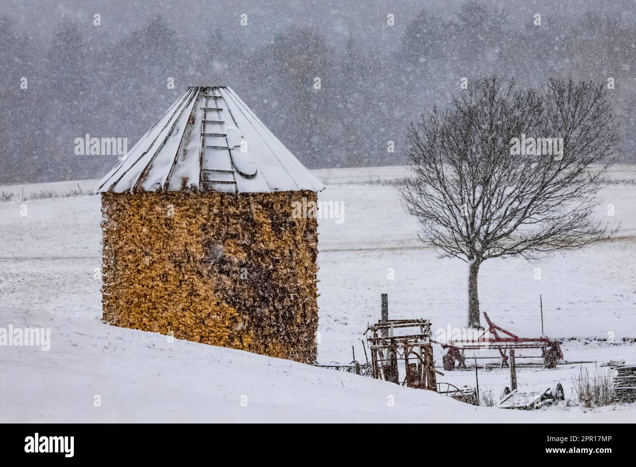 on an Amish farm in Central Michigan, USA Stock Photo - Alamy