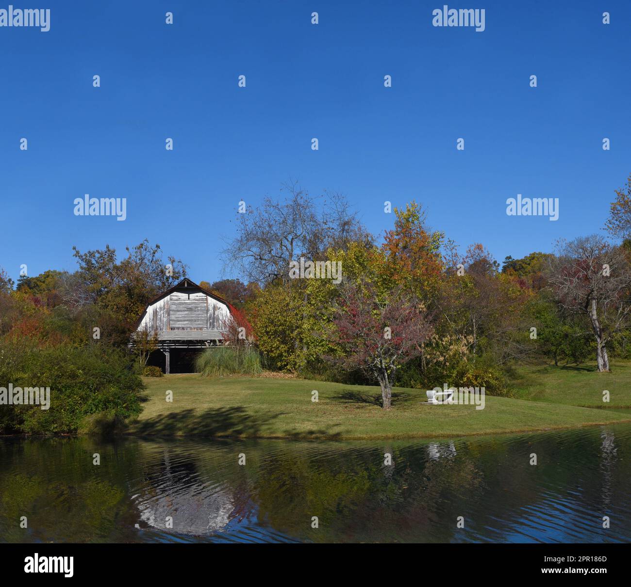 Rustic barn with, white washed boards, sits besides lake. Reflection is ...