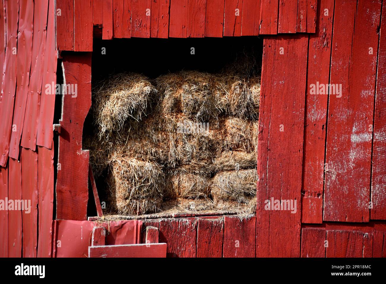Closeup shows a barn loft filled with hay. Barn is red, wooden, rustic ...