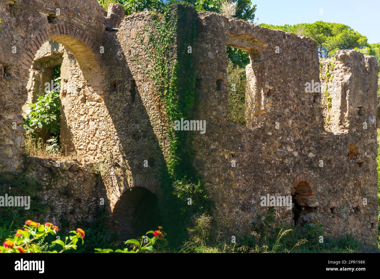 Overgrown ruins old manor house hi-res stock photography and images - Alamy