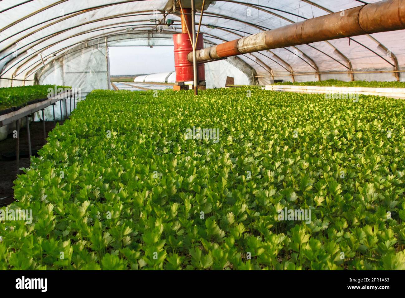 Land being prepared for agriculture hi-res stock photography and images ...