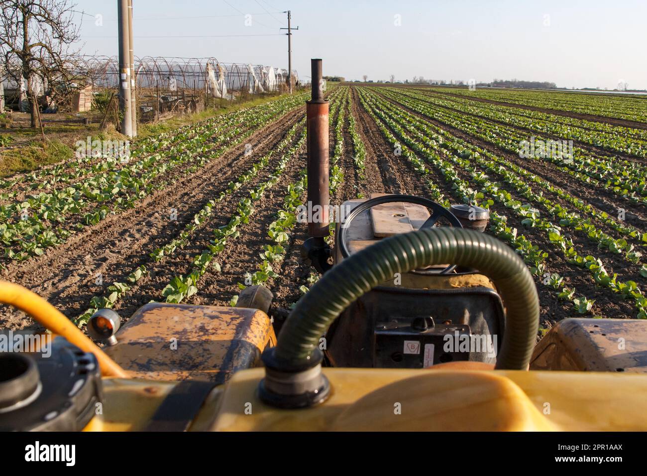 farmer spraying field crops with a sprayer mounted on a tractor Stock ...