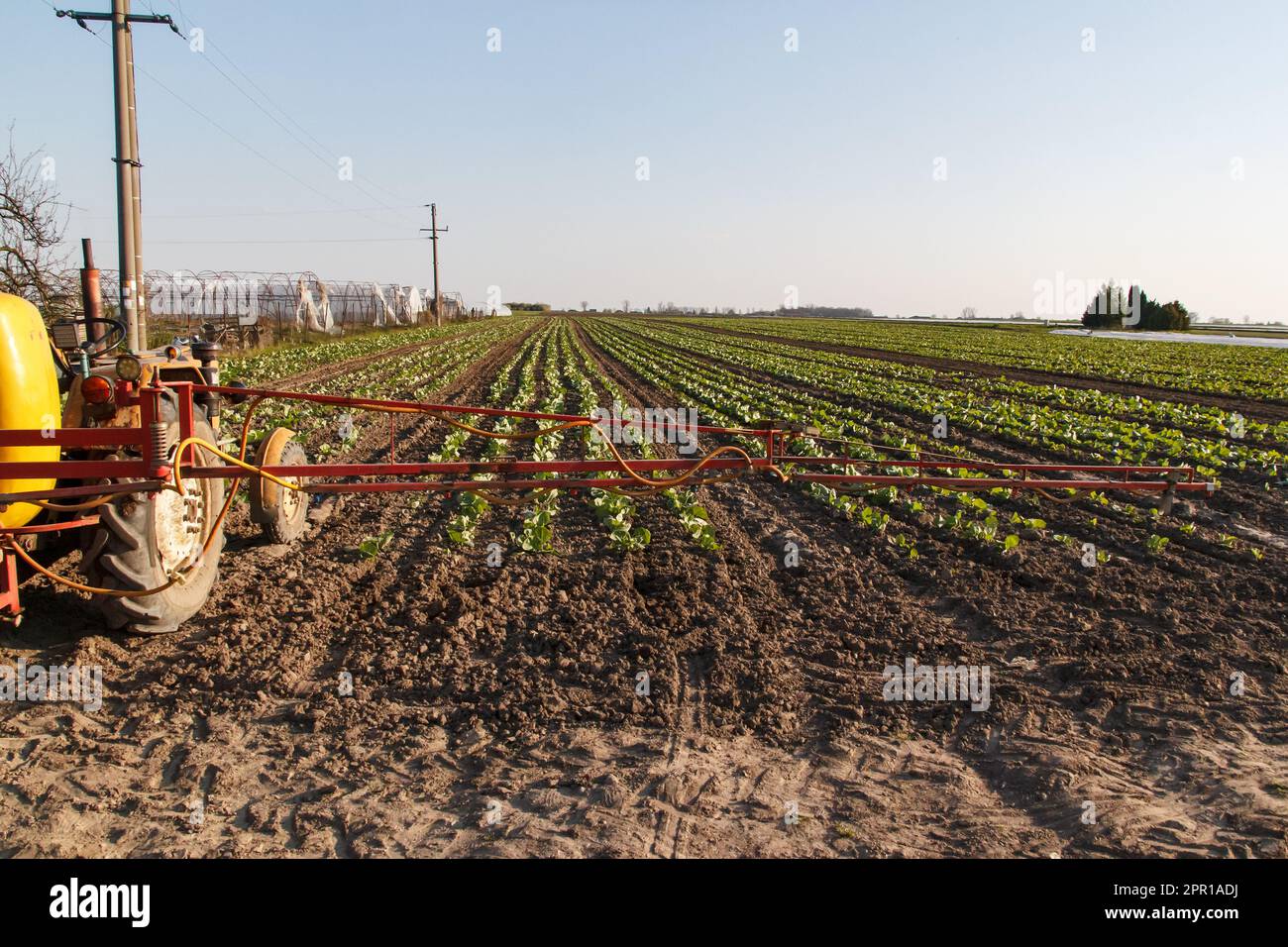 farmer spraying field crops with a sprayer mounted on a tractor Stock ...