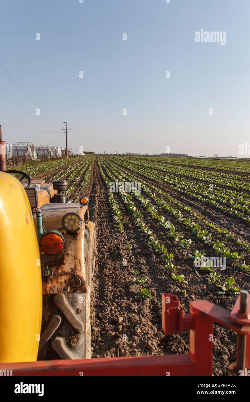 farmer spraying field crops with a sprayer mounted on a tractor Stock ...