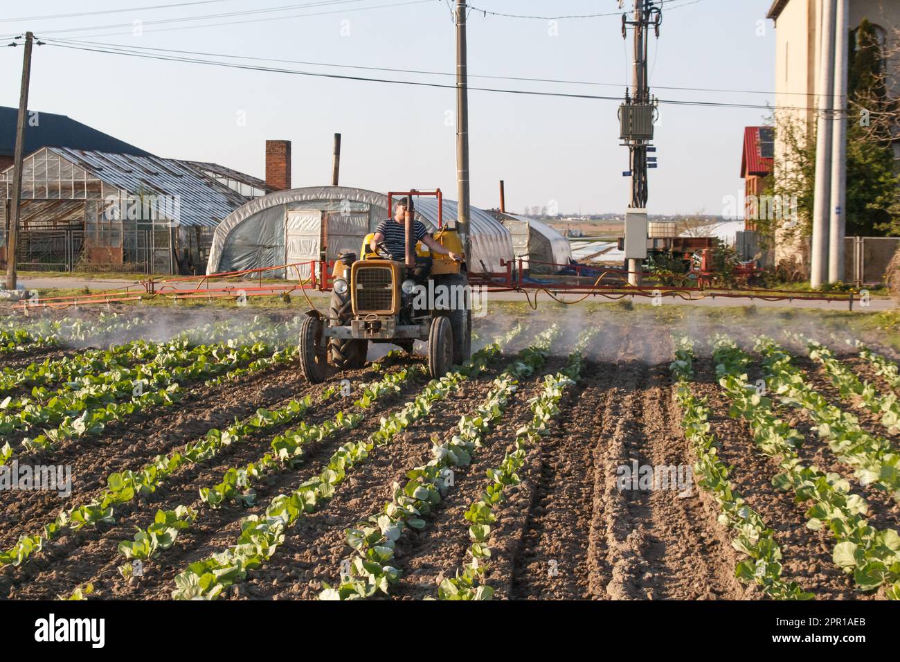 farmer spraying field crops with a sprayer mounted on a tractor Stock ...
