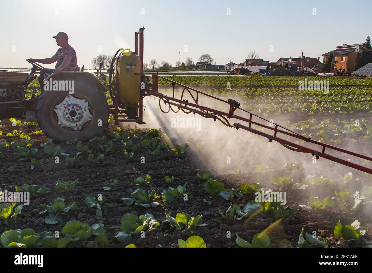 farmer spraying field crops with a sprayer mounted on a tractor Stock ...