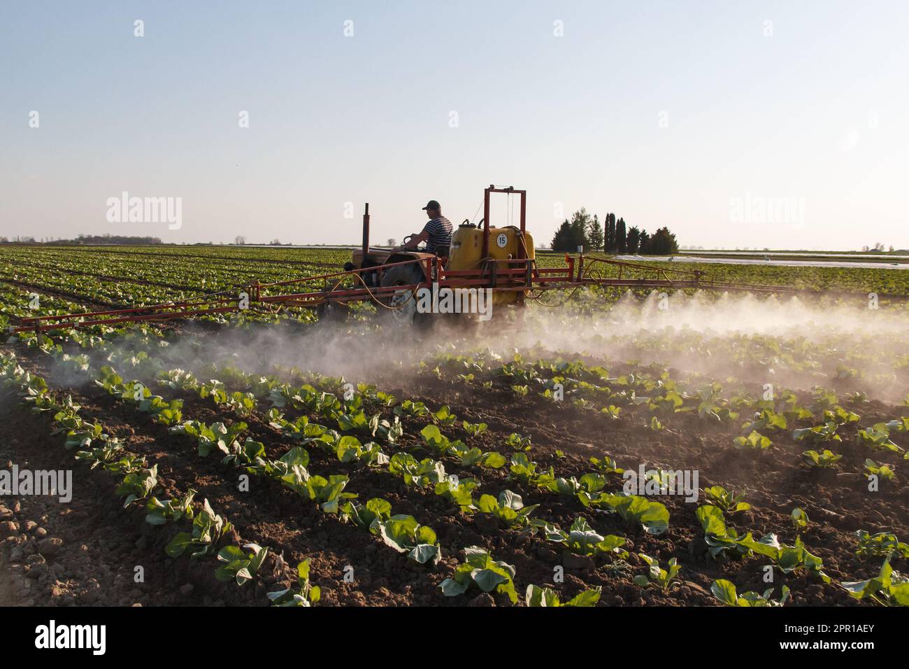farmer spraying field crops with a sprayer mounted on a tractor Stock ...