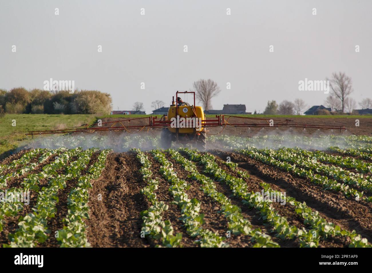 farmer spraying field crops with a sprayer mounted on a tractor Stock ...