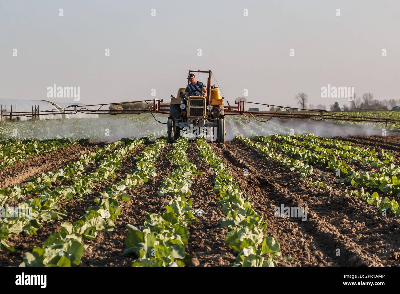 farmer spraying field crops with a sprayer mounted on a tractor Stock ...