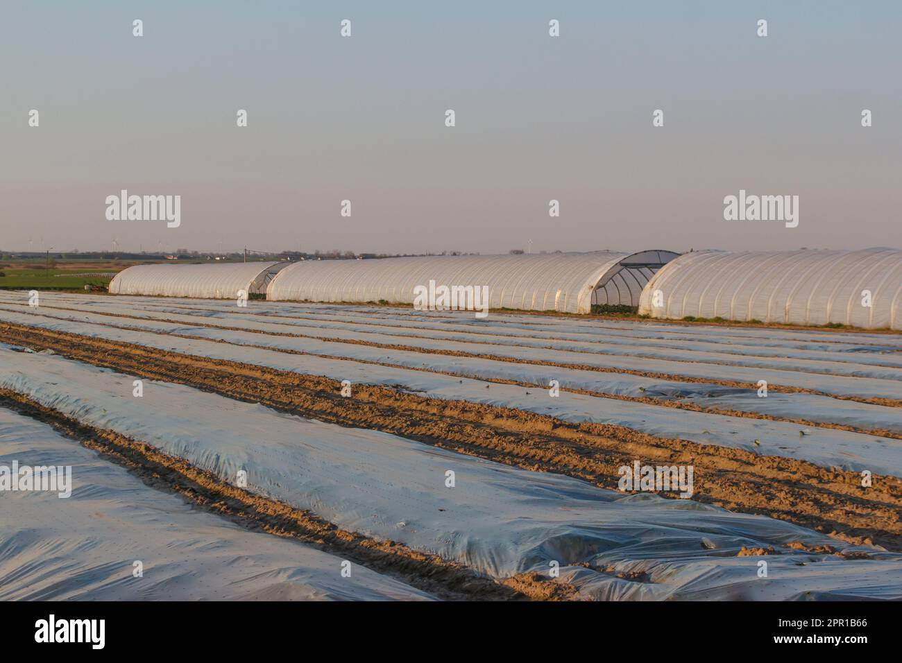 Covering crops hi-res stock photography and images - Alamy